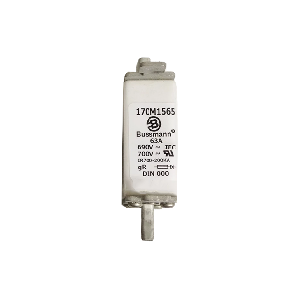 170M1565 FUSE 63A 690V DIN 000 GR | Electrical Components Singapore ...