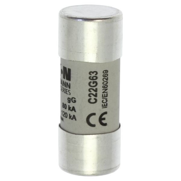C22G63 FUSE CARTRIDGE 63A 500VAC | Electrical Components Singapore ...